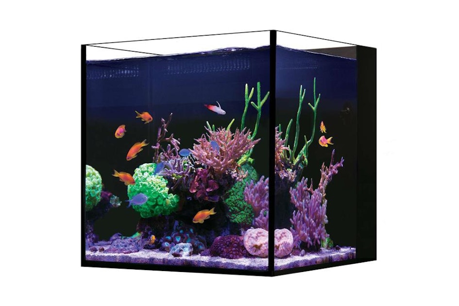Red Sea Desktop Aquarium Set online kaufen