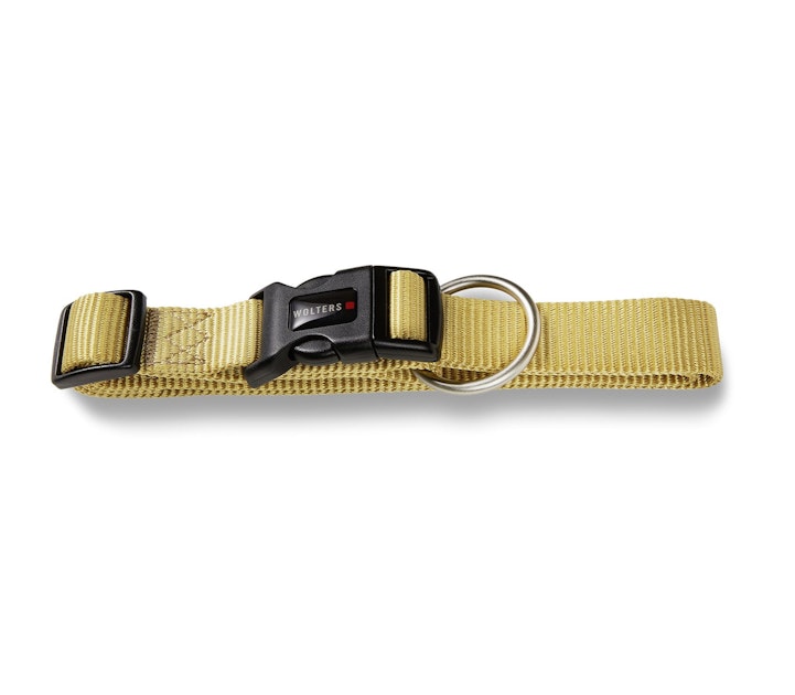 Wolters Professional curry gelb Hundehalsband online kaufen
